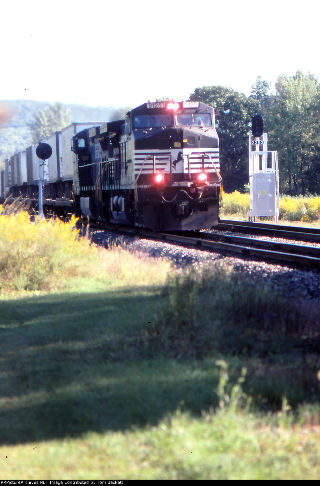 205 thru the signals